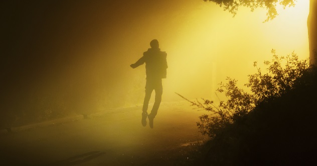 Top 10 Close Encounters Of The Sixth Kind - Listverse