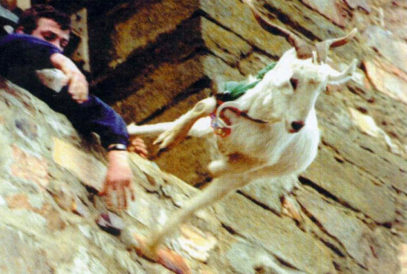 10 Bizarre Historical Attractions Involving Animals - Listverse