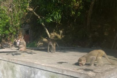 Top 10 Little-Known Facts About Alcohol - Listverse