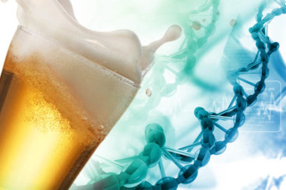 Top 10 Little-Known Facts About Alcohol - Listverse