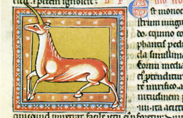 10 Fantastic Creatures From Medieval Bestiaries - Listverse