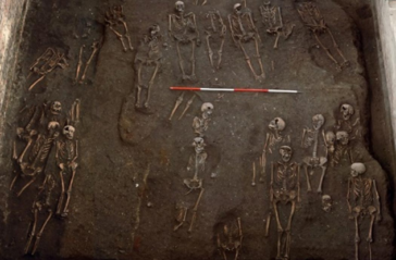 Top 10 Bizarre Skeletons - Listverse