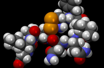 Top 10 Fascinating Facts About Fear - Listverse