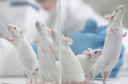 Top 10 Fascinating Facts About Fear - Listverse