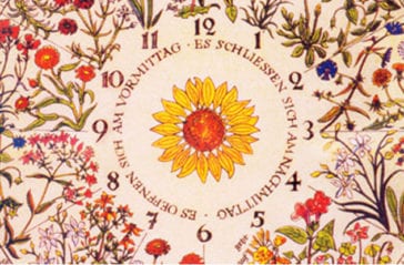 10 Bizarre Clocks And Time Systems - Listverse