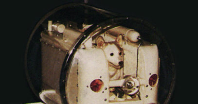 10 Macabre Medical Experiments From History - Listverse