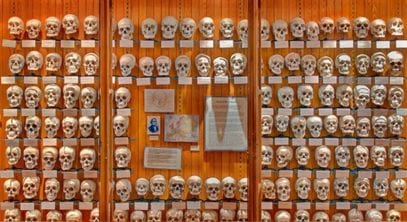 10 Peculiar Museums You Must See To Believe - Listverse
