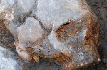 10 Bizarre Objects Made From Human Skulls - Listverse