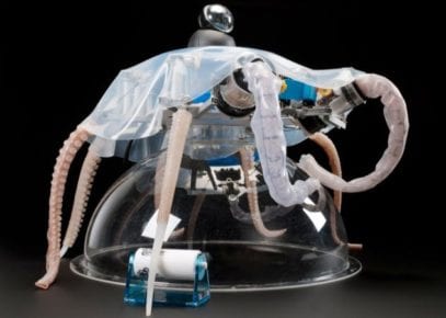 10 Incredible Inventions Inspired By Plants And Animals - Listverse