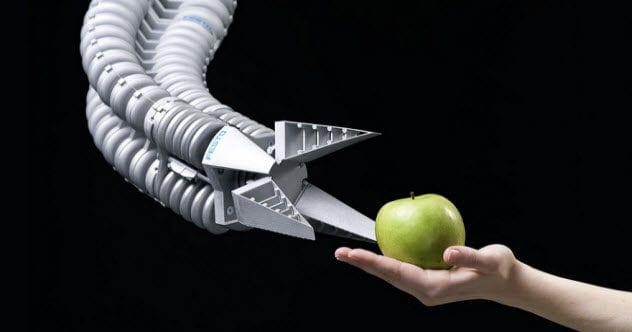 10 Incredible Inventions Inspired By Plants And Animals - Listverse