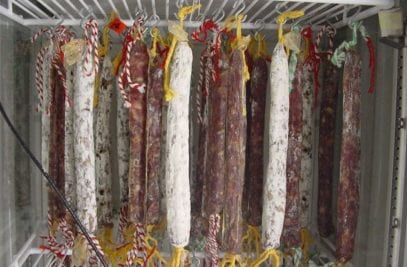 10 Foods Made From Poop, Vomit, Or Spit. Would You Eat Them? - Listverse