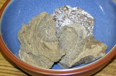 10 Foods Made From Poop, Vomit, Or Spit. Would You Eat Them? - Listverse