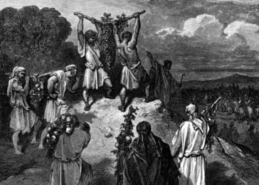 10 Amazing Archaeological Revelations About The Philistines - Listverse