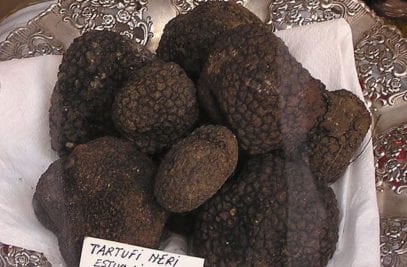 10 Times Nature Smelled Like Something Totally Unexpected - Listverse