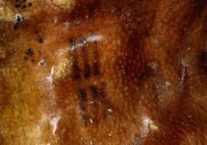 10 Lesser-Known Facts About Otzi The Iceman - Listverse
