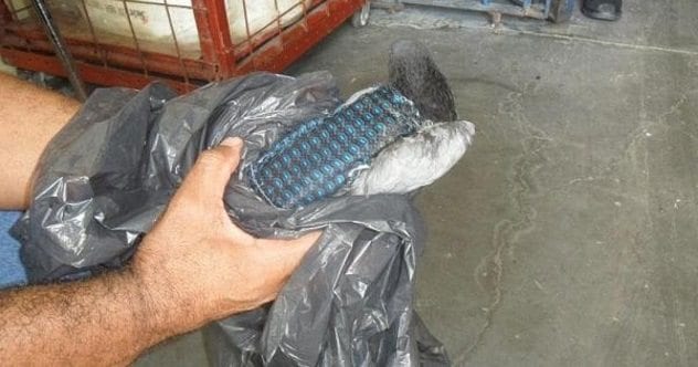 10 Bizarre Cases Of Prison Smuggling - Listverse