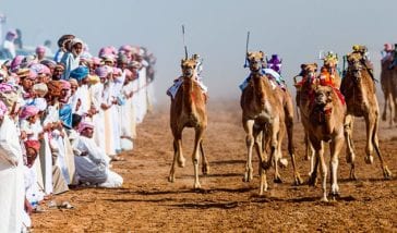 Top 10 Wacky Animal Races From Around The World - Listverse