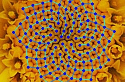 Top 10 Fascinating Facts About The Number Pi - Listverse