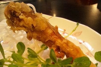 Top 10 Mind-Blowing Facts About Axolotls - Listverse