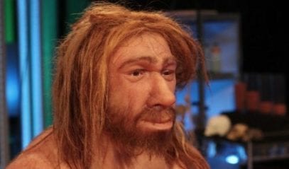 Top 10 Remarkable Traits Neanderthals Have In Common With Modern Humans ...