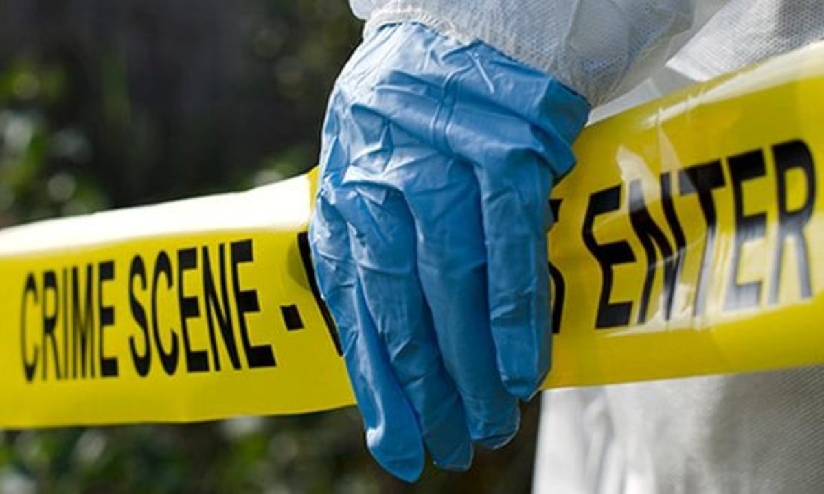 10 Cold Cases Solved Forensics Colleges The Evolution Of DNA Forensics