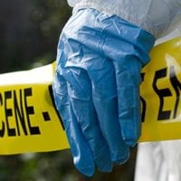 Top 10 Infamous Murder Cases Solved Through Pioneering Forensics ...