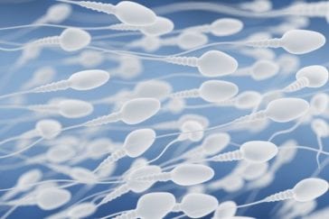 Top 10 Strangest Sperm In The World - Listverse