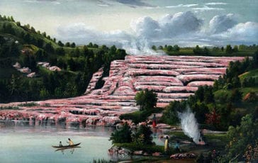 Top 10 Pink Wonders Of The Natural World - Listverse