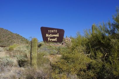 10 Signs That Aliens Could Be Contributing To Our World - Listverse