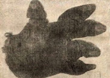 Top 10 Infamous Murder Cases Solved Through Pioneering Forensics ...