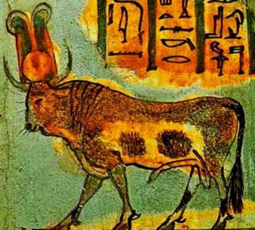 10 Animals Worshipped As Holy - Listverse