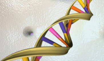 10 Incredible Things Scientists Did With DNA For The First Time - Listverse