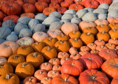 10 Little-Known Facts About Pumpkins - Listverse