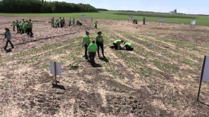 10 Tantalizing Facts About Pizza - Listverse