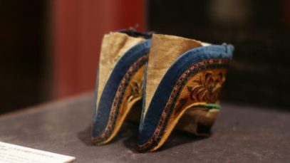 10 Bizarre Facts About Lotus Feet - Listverse