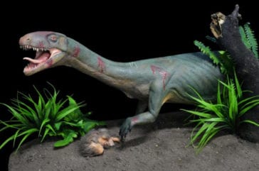 10 Fascinating New Things We Learned About Dinosaurs In 2017 - Listverse