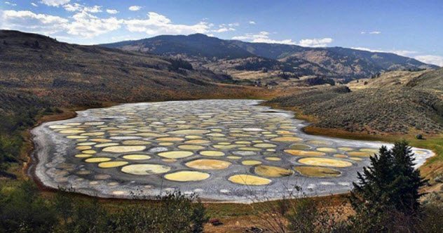10 Beautiful And Bizarre Natural Wonders - Listverse