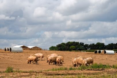 10 Bizarre Explosions - Listverse