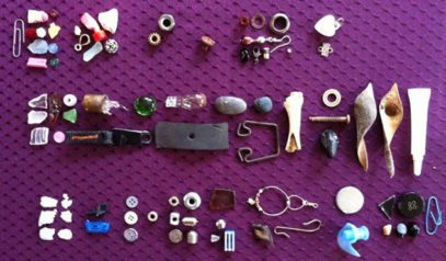 10 Examples Of Gift Giving In The Animal Kingdom - Listverse