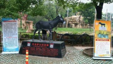 10 Weird And Wonderful Animal Monuments - Listverse