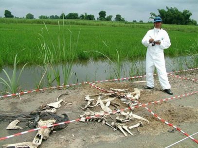 10 Creepy Facts About Body Farms, The Graveyards Of Science - Listverse