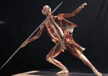 Top 10 Ways We've Preserved Human Bodies - Listverse