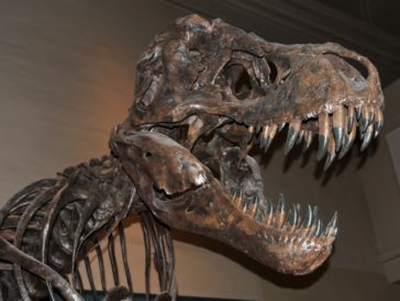 10 Reasons Real T-Rexes Were Scarier Than Anything In The Movies ...