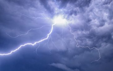 10 Amazing American Drag Performers Born Before 1900 - Listverse