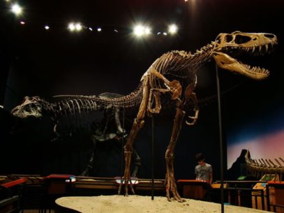 10 Reasons Real T-Rexes Were Scarier Than Anything In The Movies ...