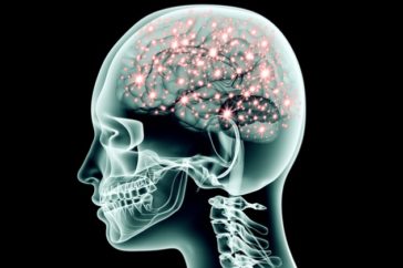 10 Effects of Magic Mushrooms on the Human Brain - Listverse