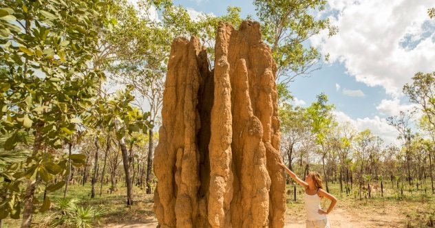 10 More Incredible Ways Nature Beat Us In Technology - Listverse