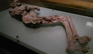 10 Unusual Ancient Burials - Listverse