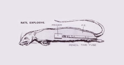 Top 10 Explosive Historical Facts And Calamities About Dynamite - Listverse