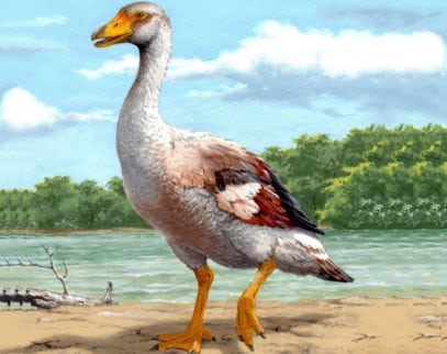 10 Awesome Extinct Animals People Don't Talk About Nearly Enough ...